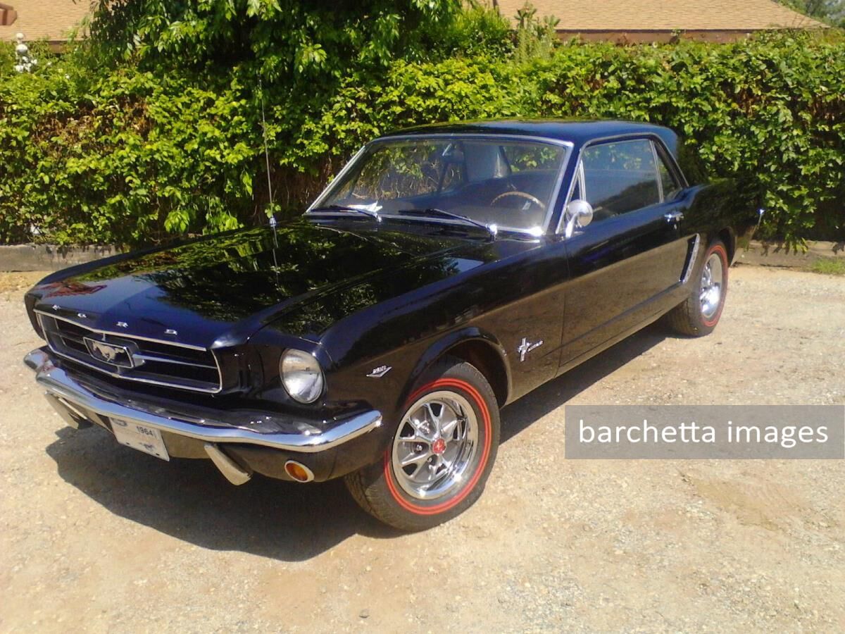 64.5 D code, rare?? | Vintage Mustang Forums